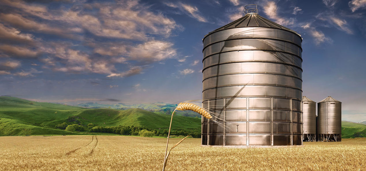 Systiva® | BASF Crop Solutions New Zealand